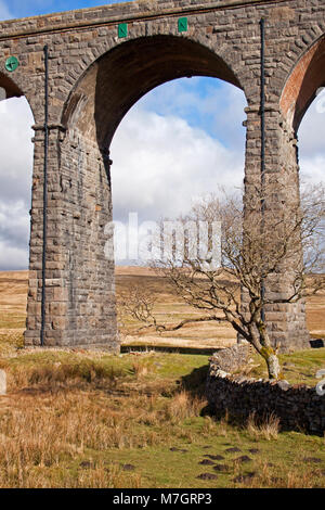 Tall arches of The Ribblehead Viaduct in The Yorkshire Dales National ...