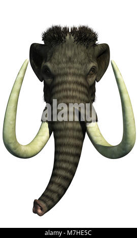 woolly mammoth, prehistoric mammal front view isolated with shadow on ...