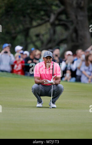 Tarpon Springs, Florida, USA. 10th Oct, 2016. CHRIS URSO | Times.Joe ...
