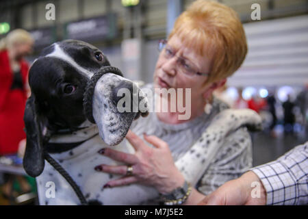 Birmingham, UK. 11th March 2018. Maddie, a 3 year old Cocker Spaniel ...