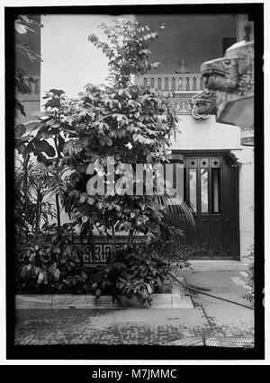 A photograph of the corner of the patio at the Pan American Union ...