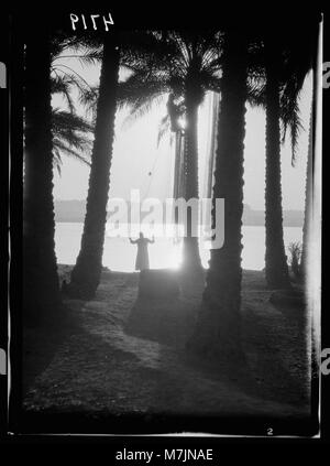 A view of the Euphrates River near Hilla, Iraq, with the sunrise ...
