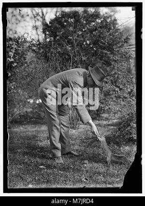Thomas Riley Marshall served as Governor of Indiana and as Vice ...