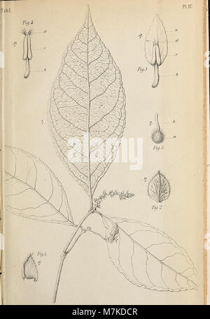 The 1867 Dutch Archives of Exact and Natural Sciences is a collection ...