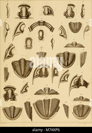 This geological study examines the Devonian period in Missouri ...
