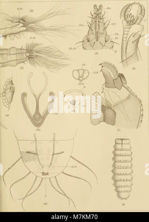 This research paper discusses the developmental history of the head and ...