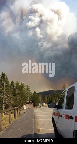 The Druid Complex wildfire in Yellowstone National Park, photographed ...