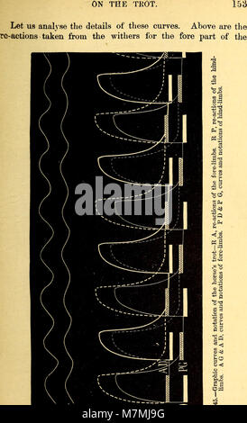 Published in 1874, Animal Locomotion explores the mechanics of movement ...