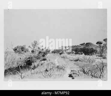 A photograph of Castel Fusano near Rome, Italy, showing the historic ...