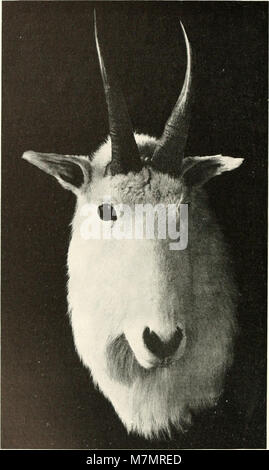 This historical account, published in 1897, covers the early history of ...