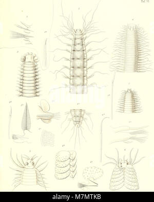 This work on oceanography focuses on the findings from the Norwegian ...