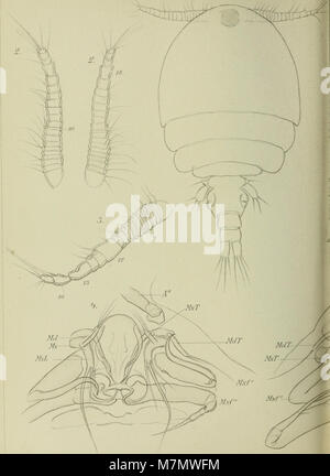 A publication from the Zoological Institutes of the University of ...