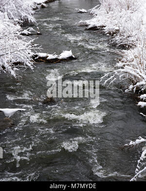 A winter landscape with river flowing through snowy forest, long ...