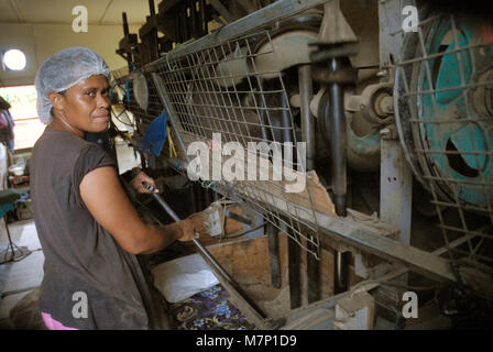Kava pounding Factory, Lautoka, Fiji Stock Photo - Alamy
