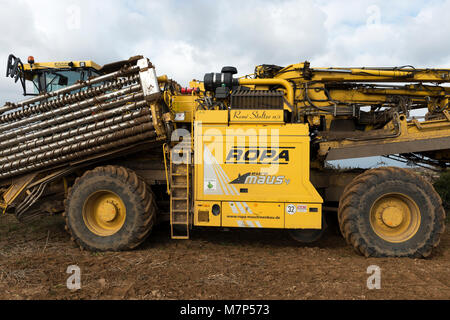 Ropa Euro Maos 4 sugar beet loader Stock Photo - Alamy