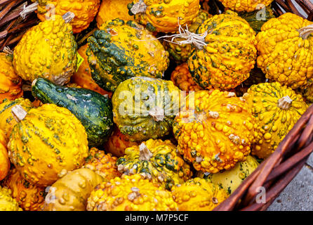 Wicker basket with colorful pumpkins and gourds for Halloween and ...
