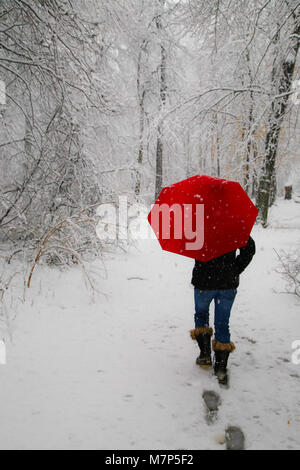 Red Umbrella in Snowstorm Stock Photo - Alamy