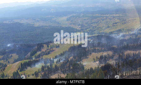 Fawn Fire August Stock Photo - Alamy