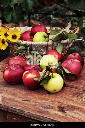 Freshly harvested red apples with leaves in wooden crate on rustic ...