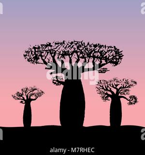 Vector illustration of three baobabs at sunset or sunrise Stock Vector ...
