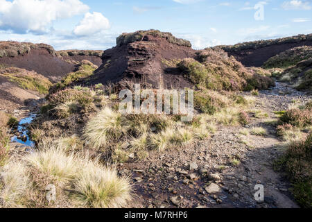 Peatland gully or grough with peat hags on moorland at Kinder Scout ...