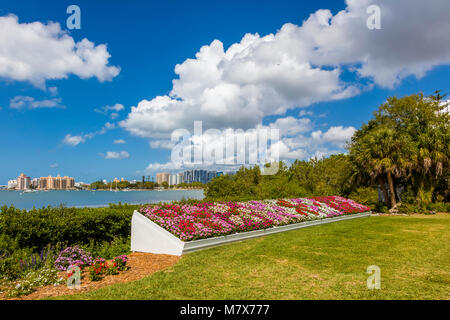 USA Florida Sarasota FL Marie Selby Botanical Gardens - fichus tree ...