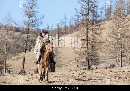 mongolian man wearing a wolf skin jacket, riding his horse in a steppe ...