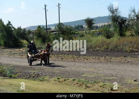 A two-wheeled cart, pulled by donkey or mule at the road in Ethiopia ...