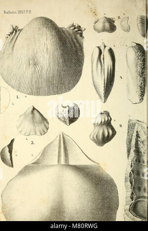 The Bulletin of the Imperial Society of Naturalists of Moscow ...