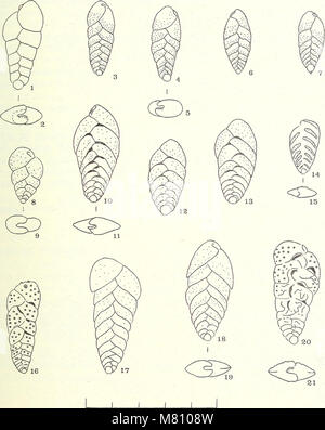 . Bulletin of the British Museum (Natural History), Geology ...