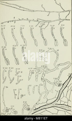 The *Bulletin* (1901-1913) provides a historical account of research ...