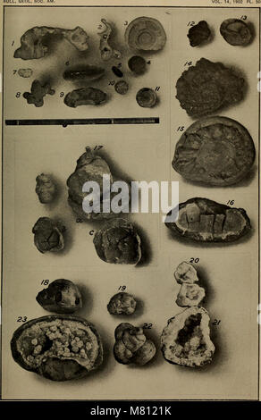 The Bulletin of the Geological Society of America publishes scientific ...