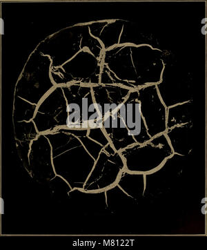 The 'Bulletin of the Geological Society of America' (1905) is a ...