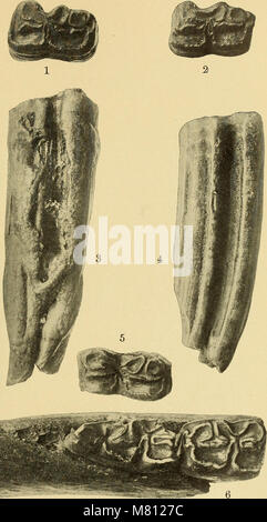 Bulletin of the Geological Society of America (1909) (20424606326 Stock ...