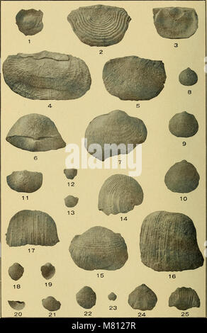The 1909 Bulletin of the Geological Society of America publishes ...