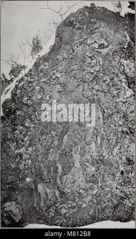 The Bulletin of the Geological Society of America (1914) features ...