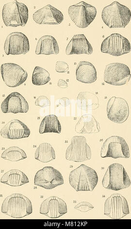 The Bulletin of the Geological Society of America publishes scientific ...