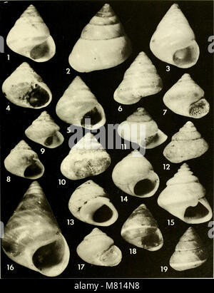 The 1971 Bulletin of the Museum of Comparative Zoology at Harvard ...