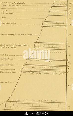 The 'Bulletin of the United States Geological and Geographical Survey ...