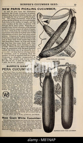 Burpee's 1892 Farm Annual is a comprehensive guide to gardening ...