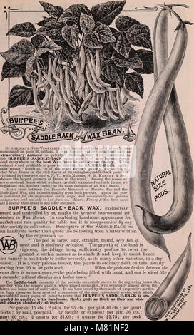 Burpee's Farm Annual (1895) offers a guide to high-quality seeds for ...