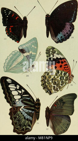 'Butterflies, Vol. I-II' (1907) presents a comprehensive study of ...