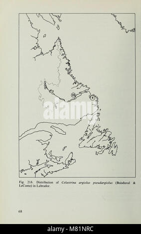 This 1980 study documents the butterflies and moths of Newfoundland and ...