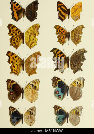 This work on the insects of China provides over 220 detailed ...