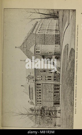 A calendar covering the years 1902 to 1904, providing detailed dates ...