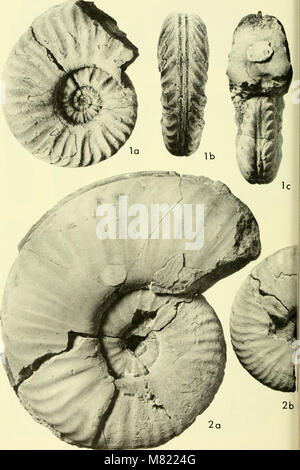 The 'Bulletins of American Paleontology' (1969-1970) provides ...
