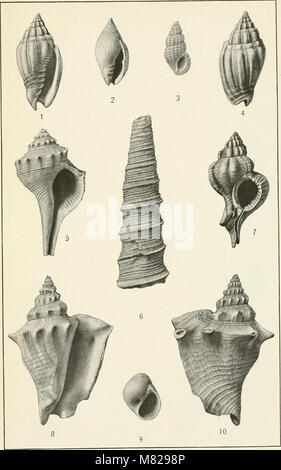 The 1915 Bulletin of the United States National Museum provides ...
