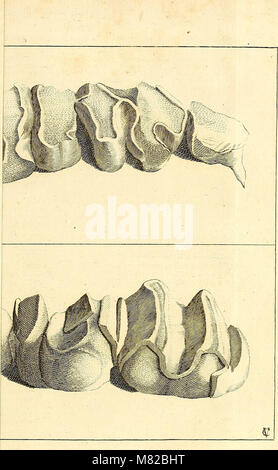 The Bulletin des Sciences, published in 1814, is a scientific ...