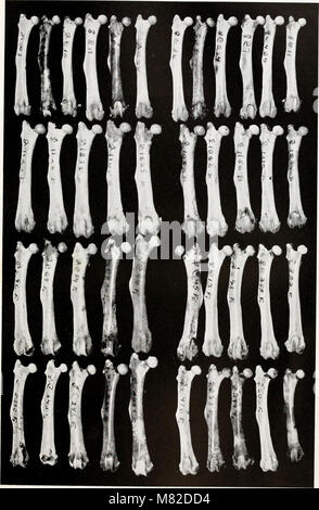 Carnegie Institution of Washington publication (1902-) (20350149088 ...