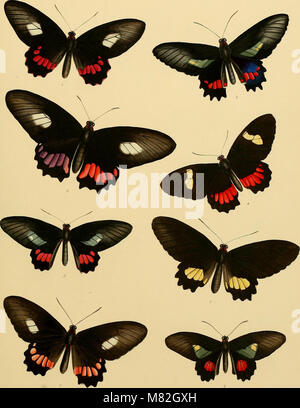 A catalog documenting the lepidopterous insect species in the British ...